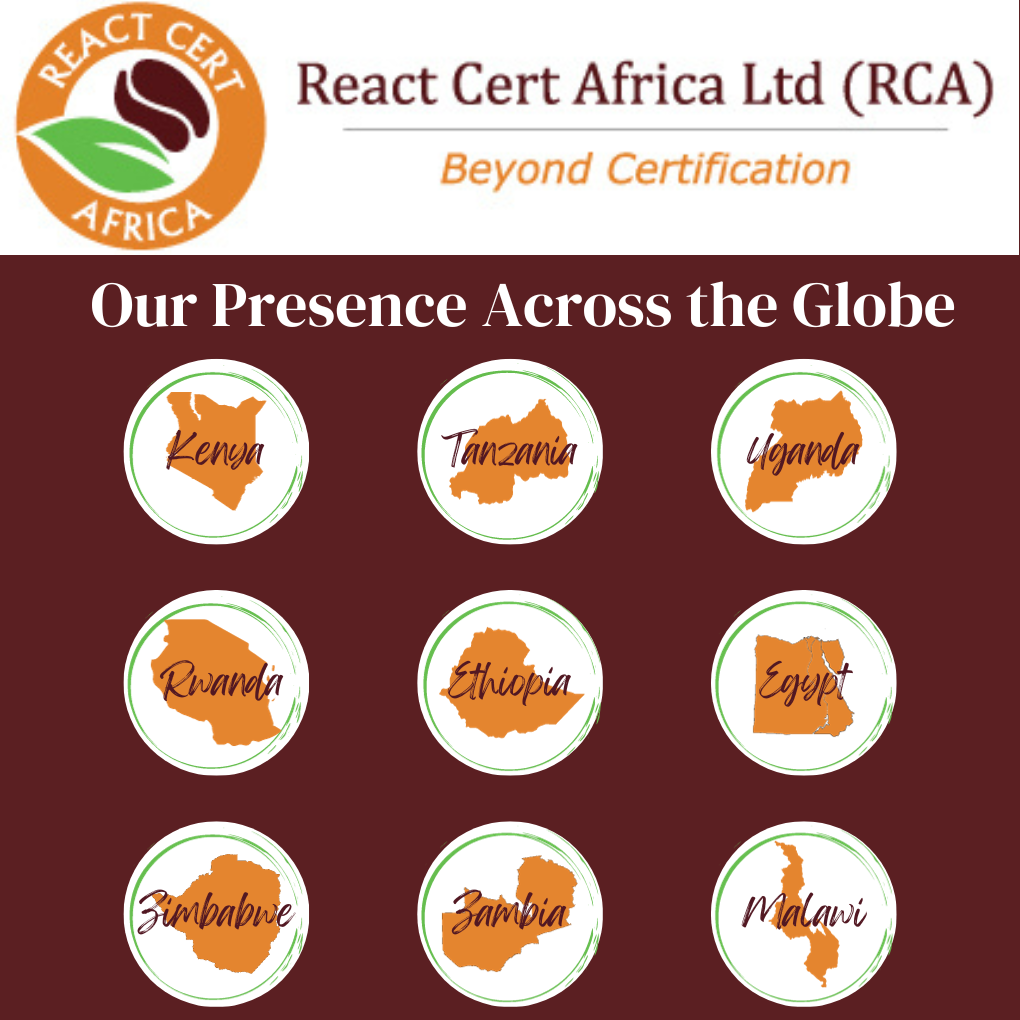 RCA | React Cert Africa Beyond Certification - reactcertafrica.com